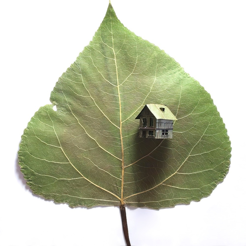 My home | Lorenzo M. Duran